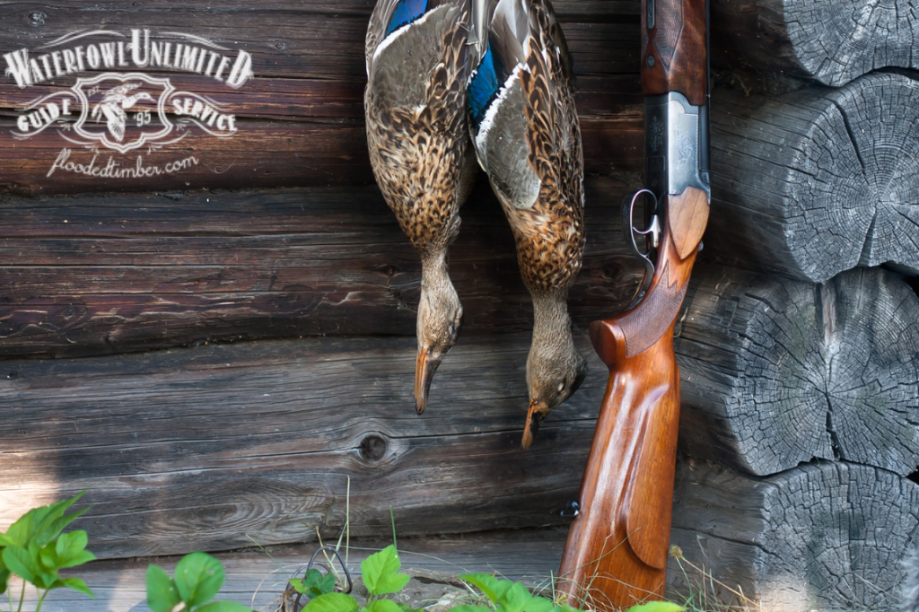 Essential Gear for Beginners | Reelfoot Lake Duck Hunting Guide