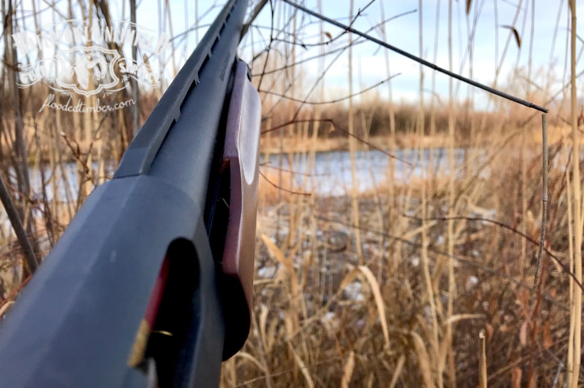 Safety Tips for Flooded Timber Duck Hunts | Reelfoot Lake Duck Hunting ...